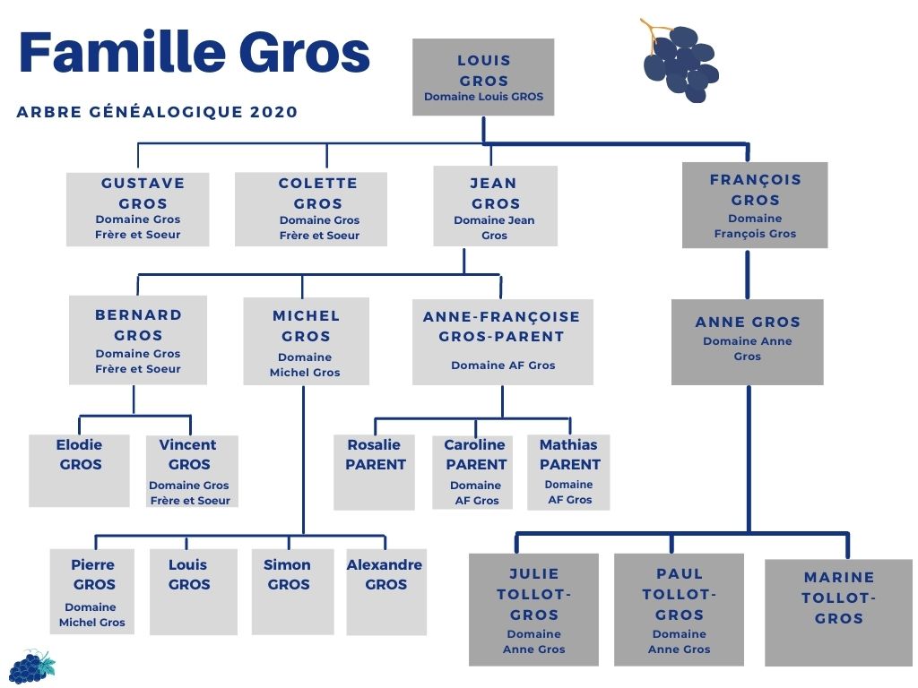 Genealogy - Domaine Anne Gros